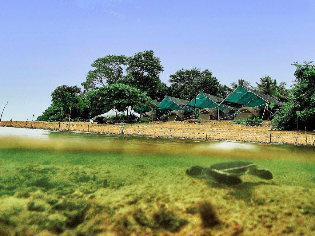 Pulau Libaran, Permata Tersembunyi Sandakan Dan Destinasi Ideal Melihat ...