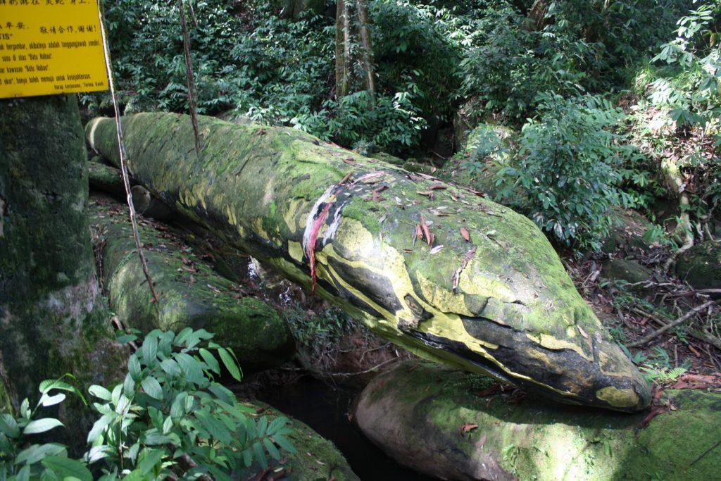 Lagenda Batu Nabau Di Engkilili, Ketahui Fakta Dan Mitos Batu Ular Gergasi Ini