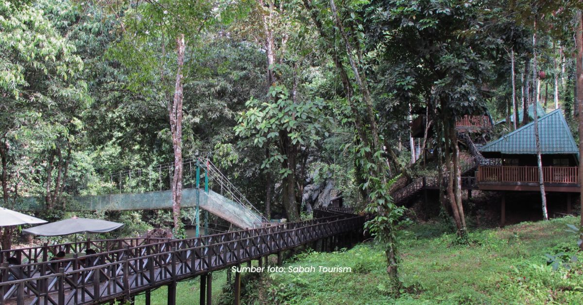 Tabin Wildlife Reserve, Port Rare Tengok Lumpur Vulkanik Dan Hidupan ...